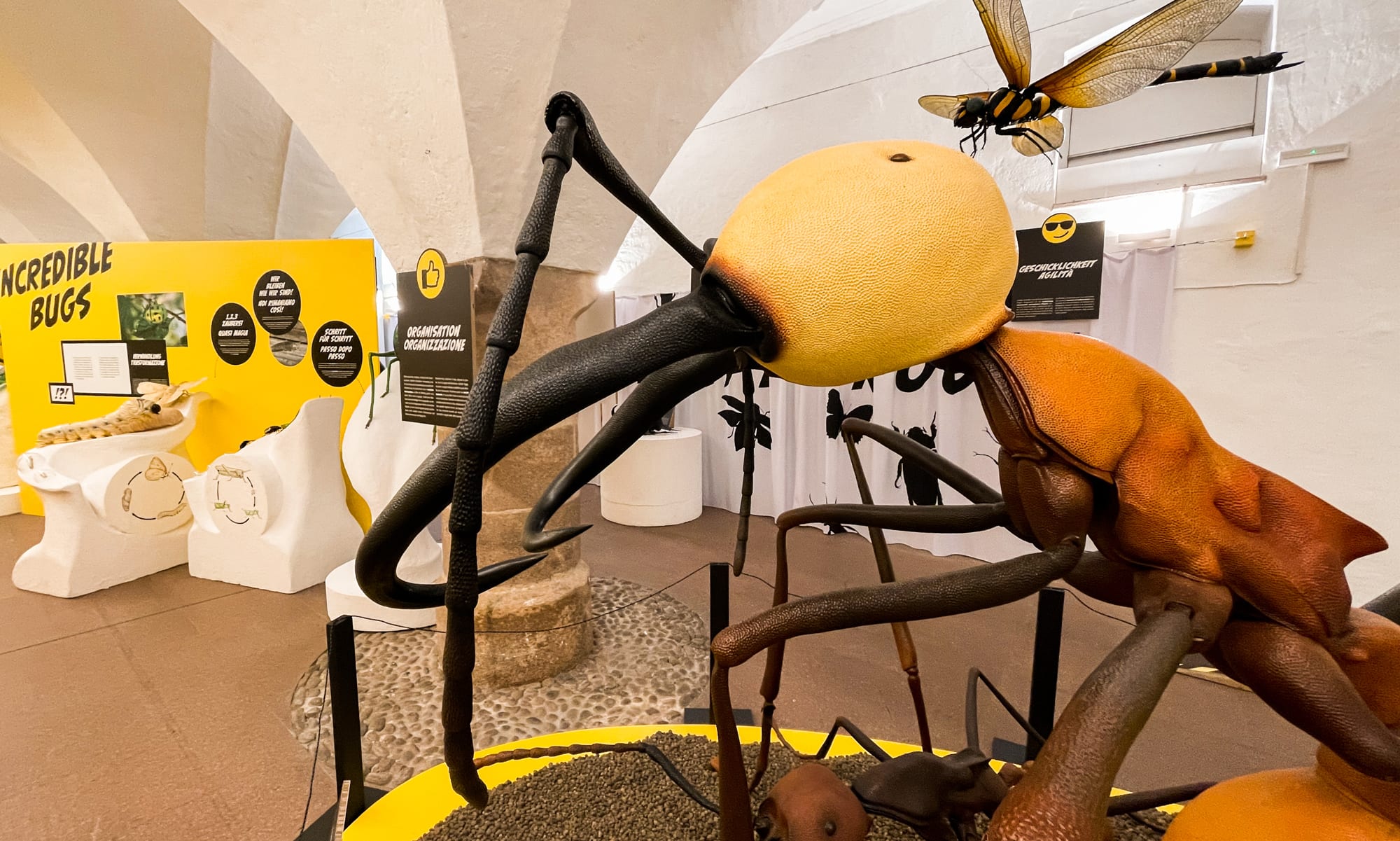 Incredible Bugs - doc